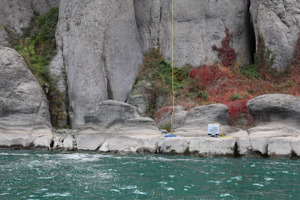 Treatment Plan — Invasive Species of Idaho