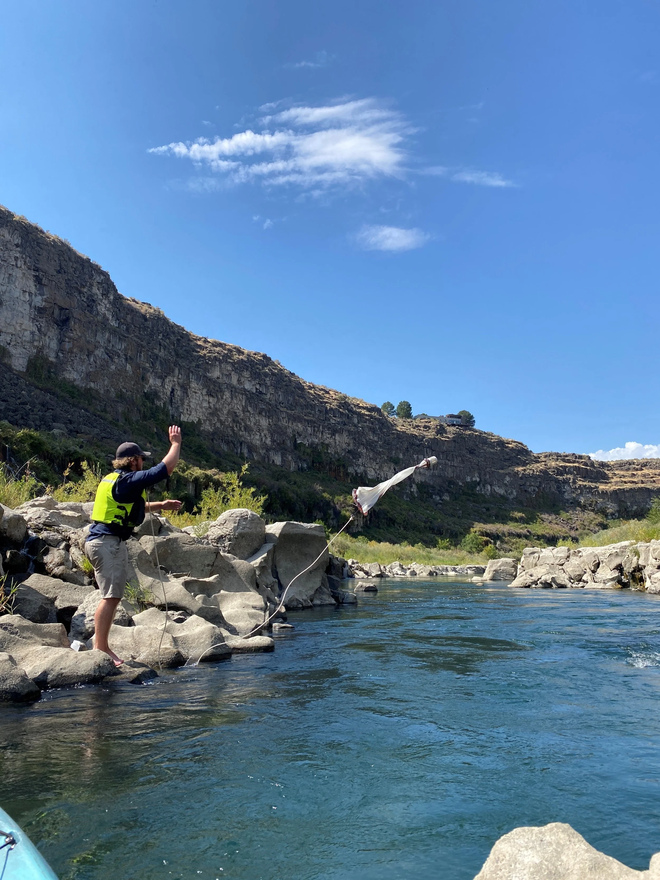 Rapid Response Plan — Invasive Species of Idaho