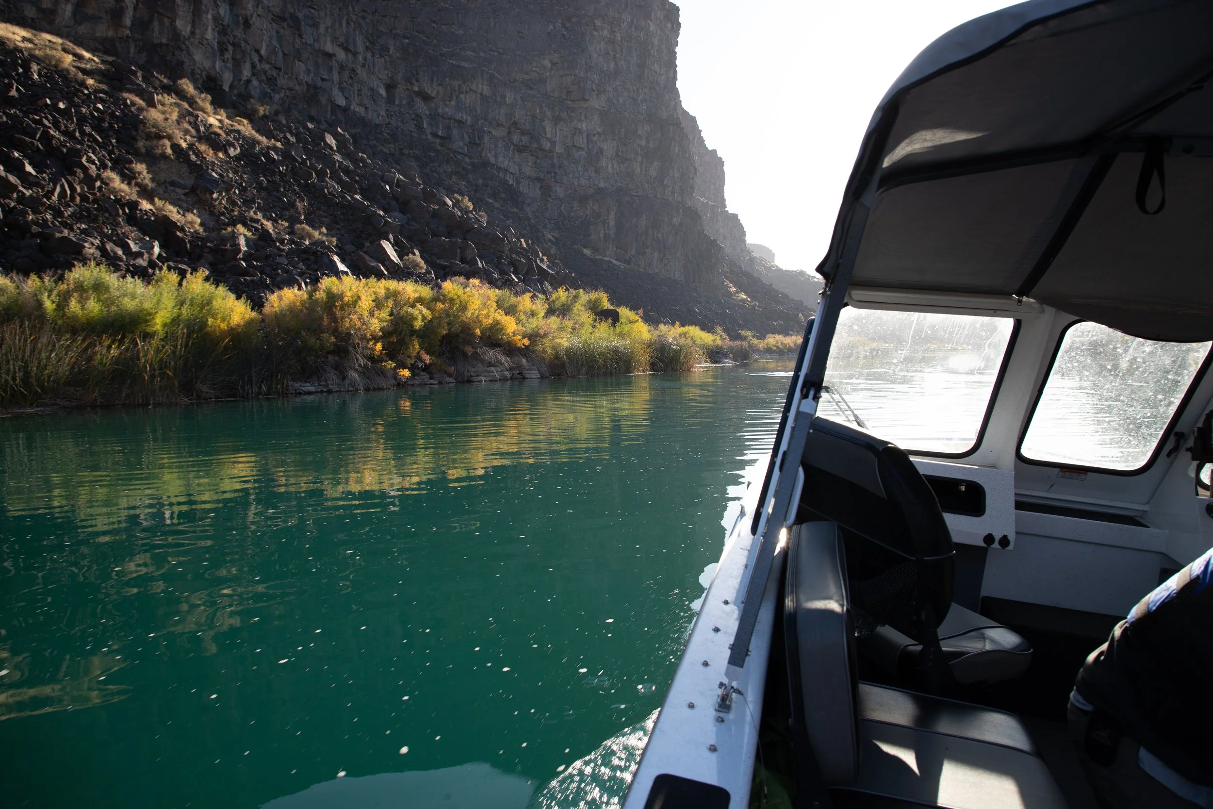 Invasive Species of Idaho