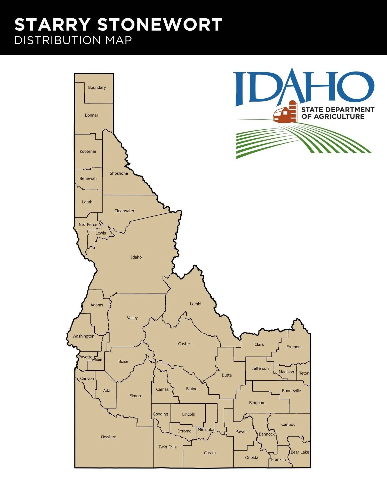 Starry Stonewort Factsheet — Invasive Species of Idaho