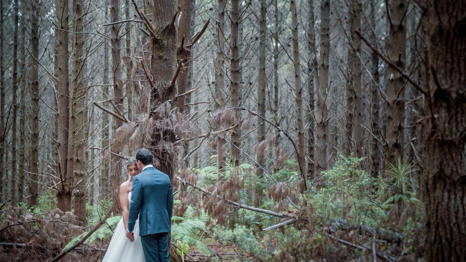 MATA FILMS | AUCKLAND WEDDING VIDEOGRAPHERS