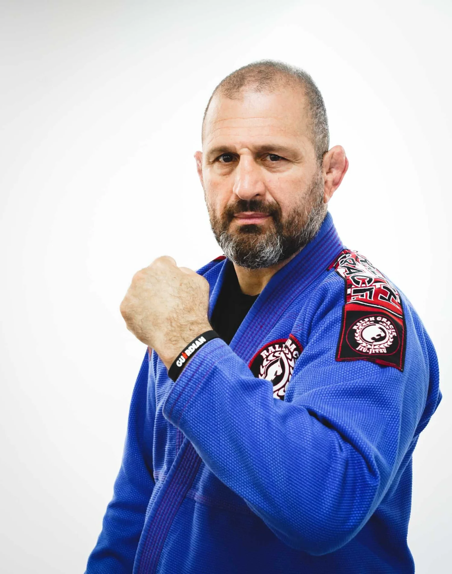 Who is in our corner? — Guardian Project