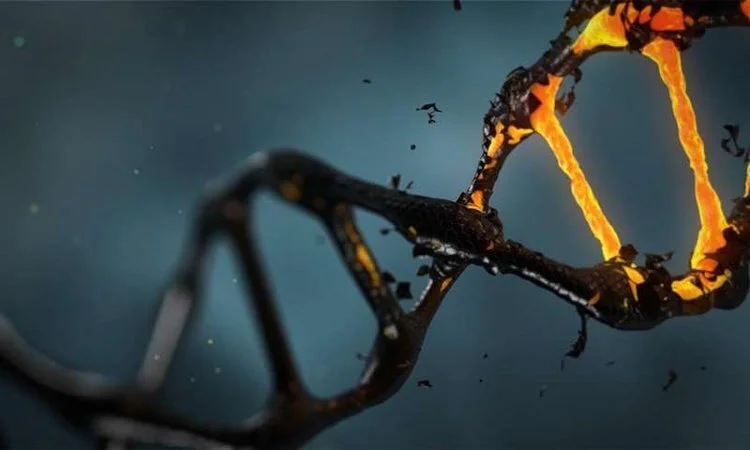 The Scary Consequences Of CRISPR Technology — The Culture Crush