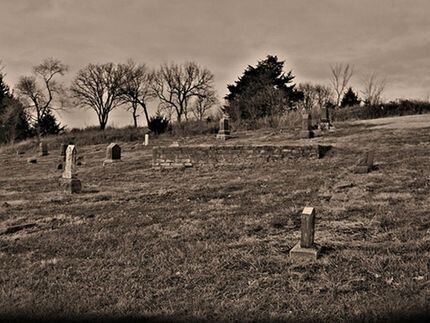 The Legend Of Stull — The Culture Crush