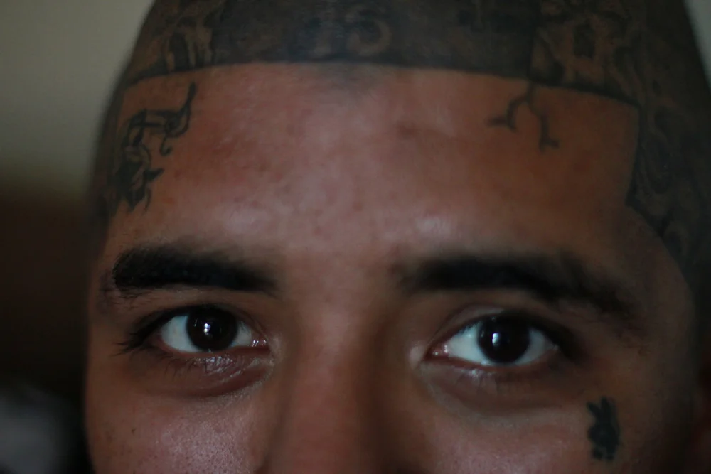 El Mero Weso — The Culture Crush