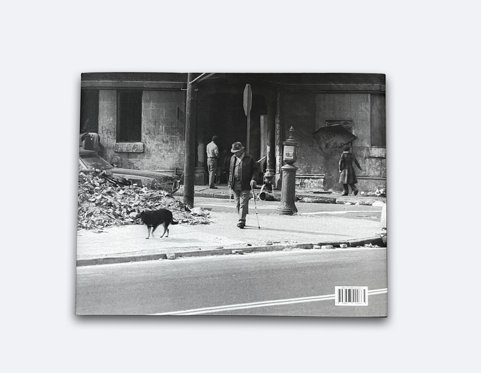 SOUTH BRONX FAMILY ALBUM GIFT BOX #2 — The Culture Crush