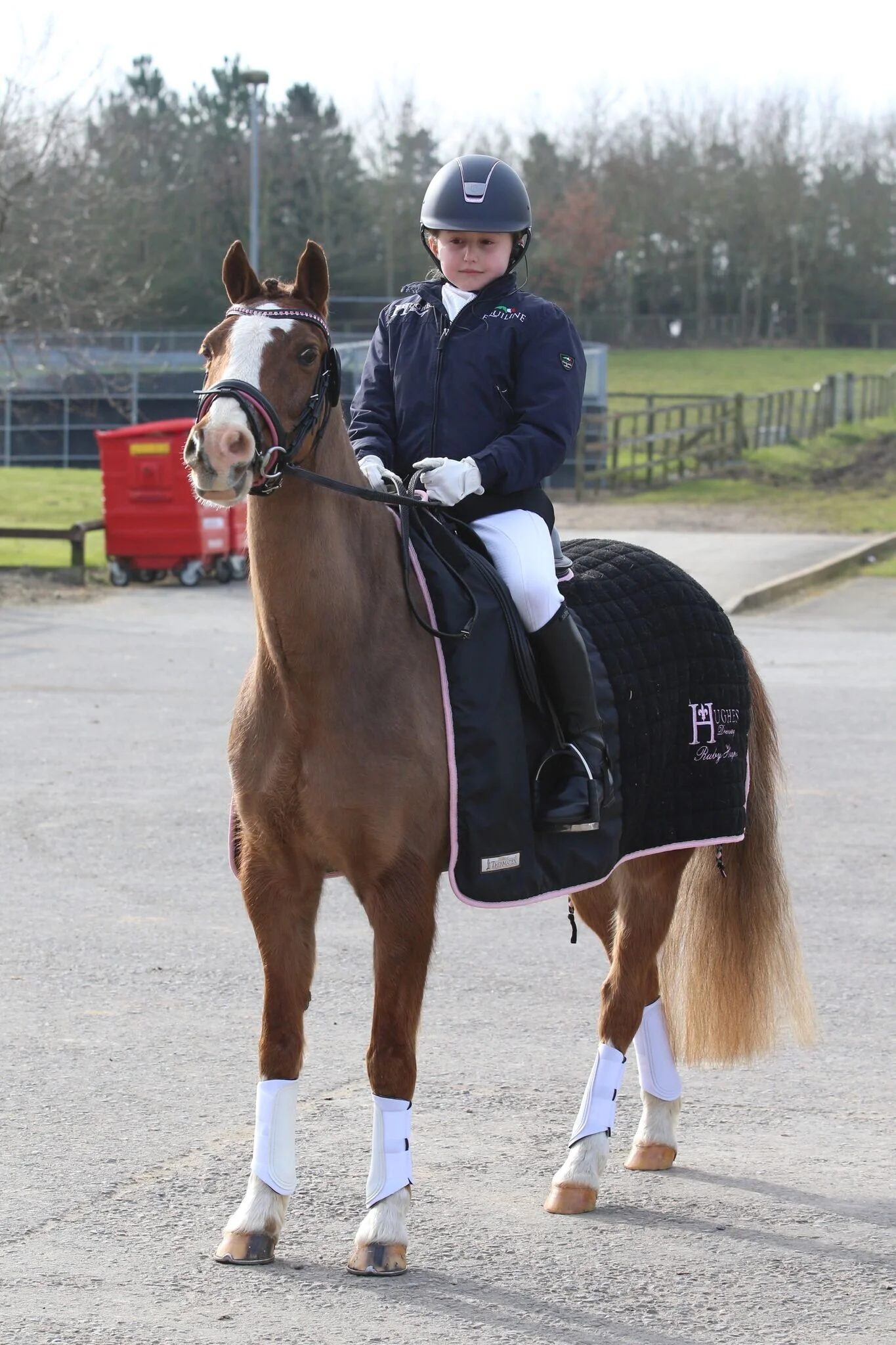 Ruby's Corner — Hughes Dressage