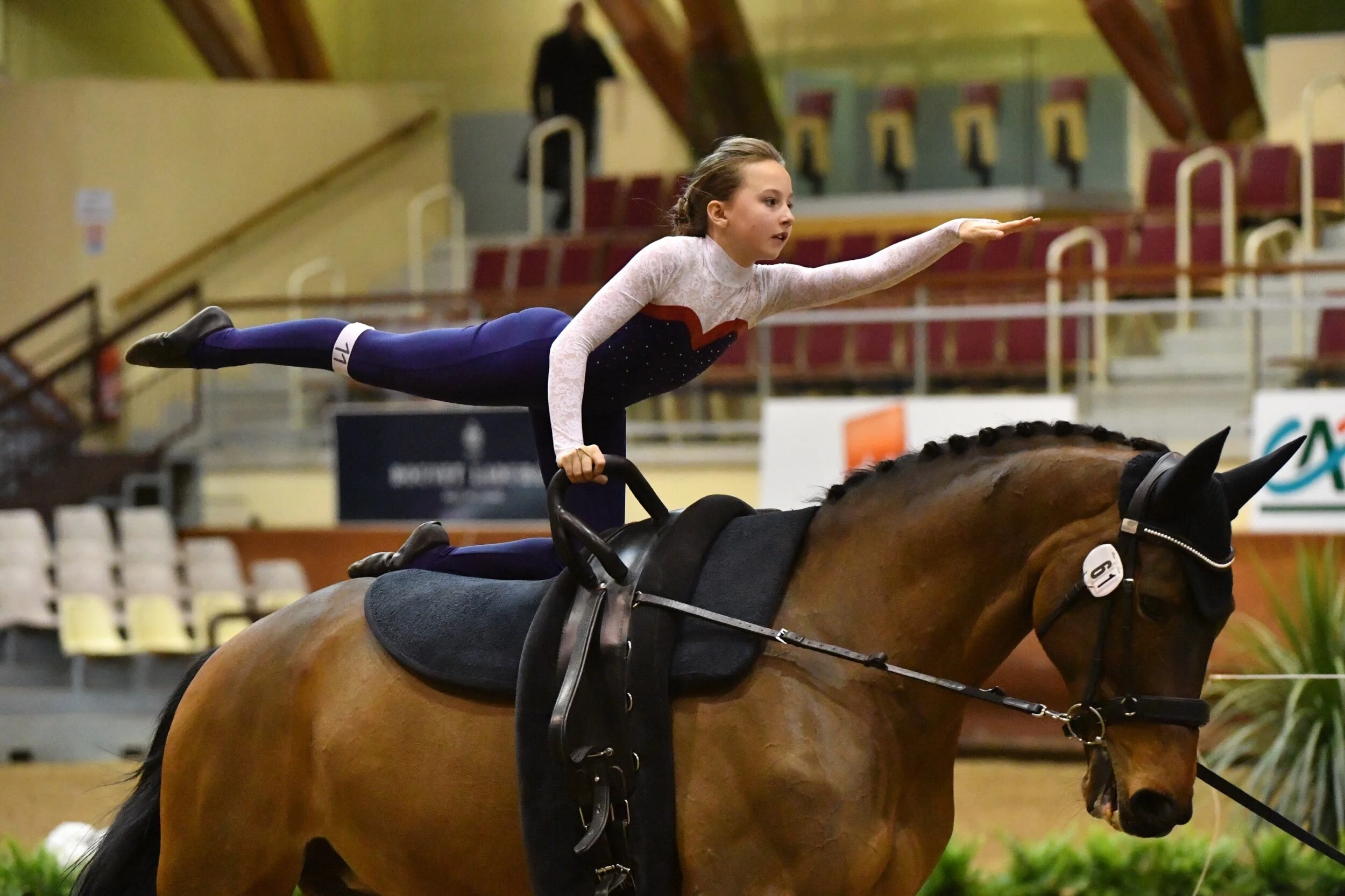 Ruby's Corner — Hughes Dressage