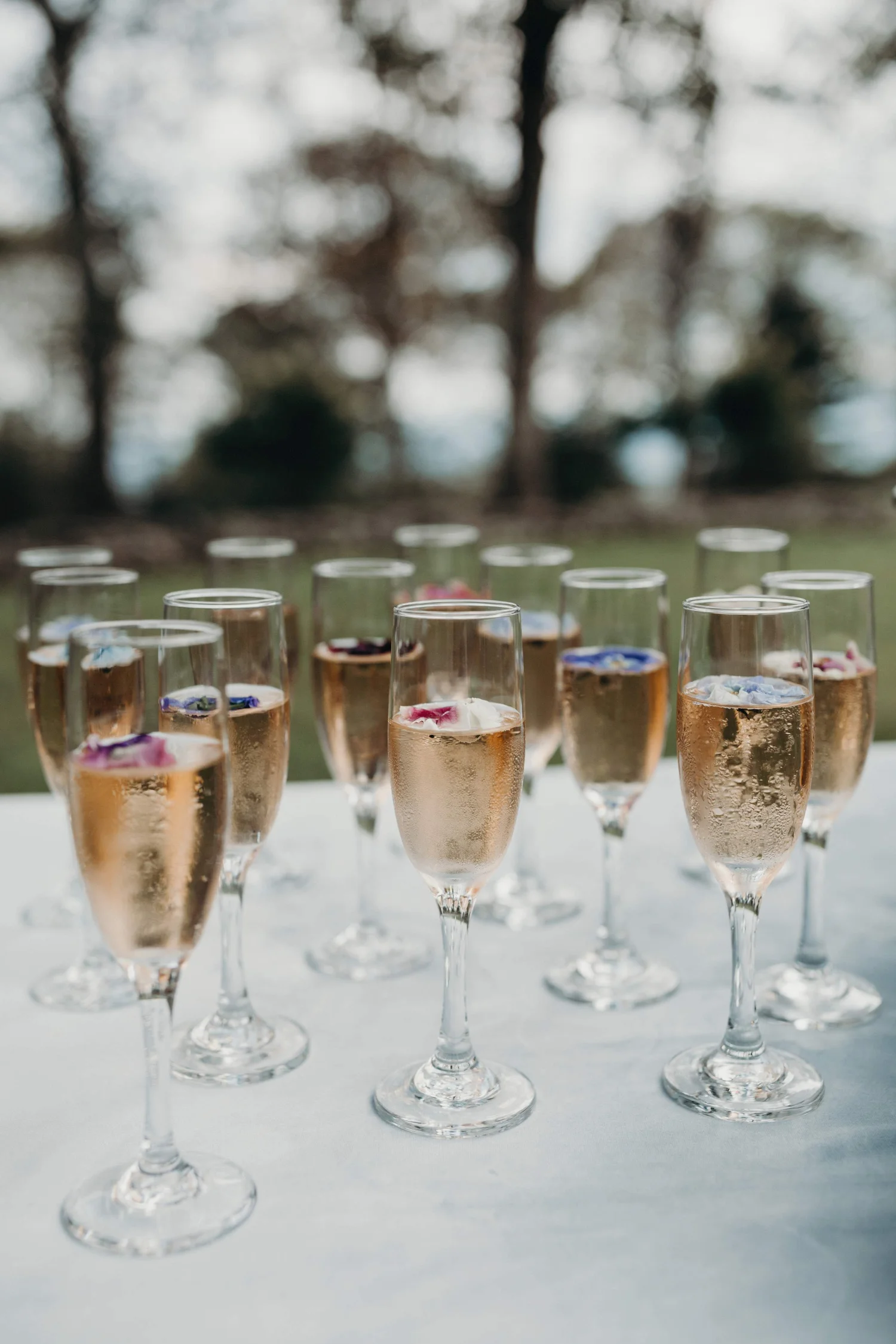 Twickenham House | Estate Wedding Venue in North Carolina