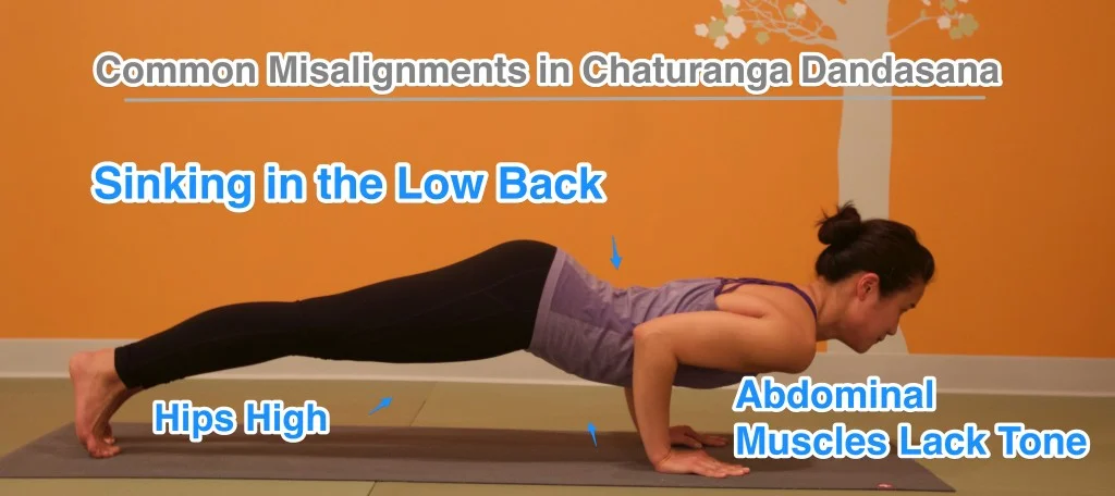 Pose of the Month: Chaturanga Dandasana — Mighty Yoga