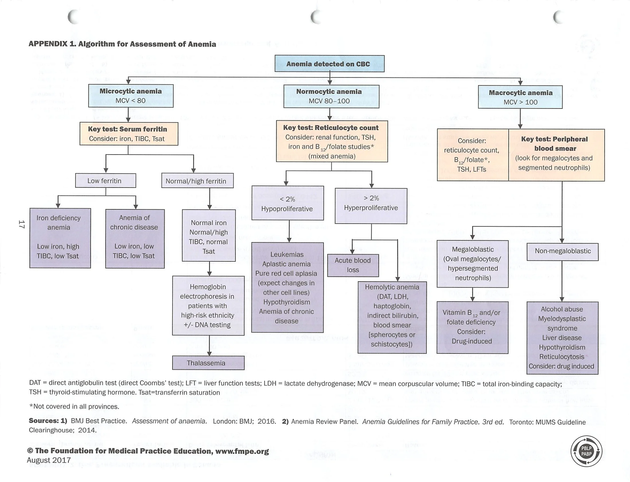 Anemia Assessment — WellOne Medical Centre