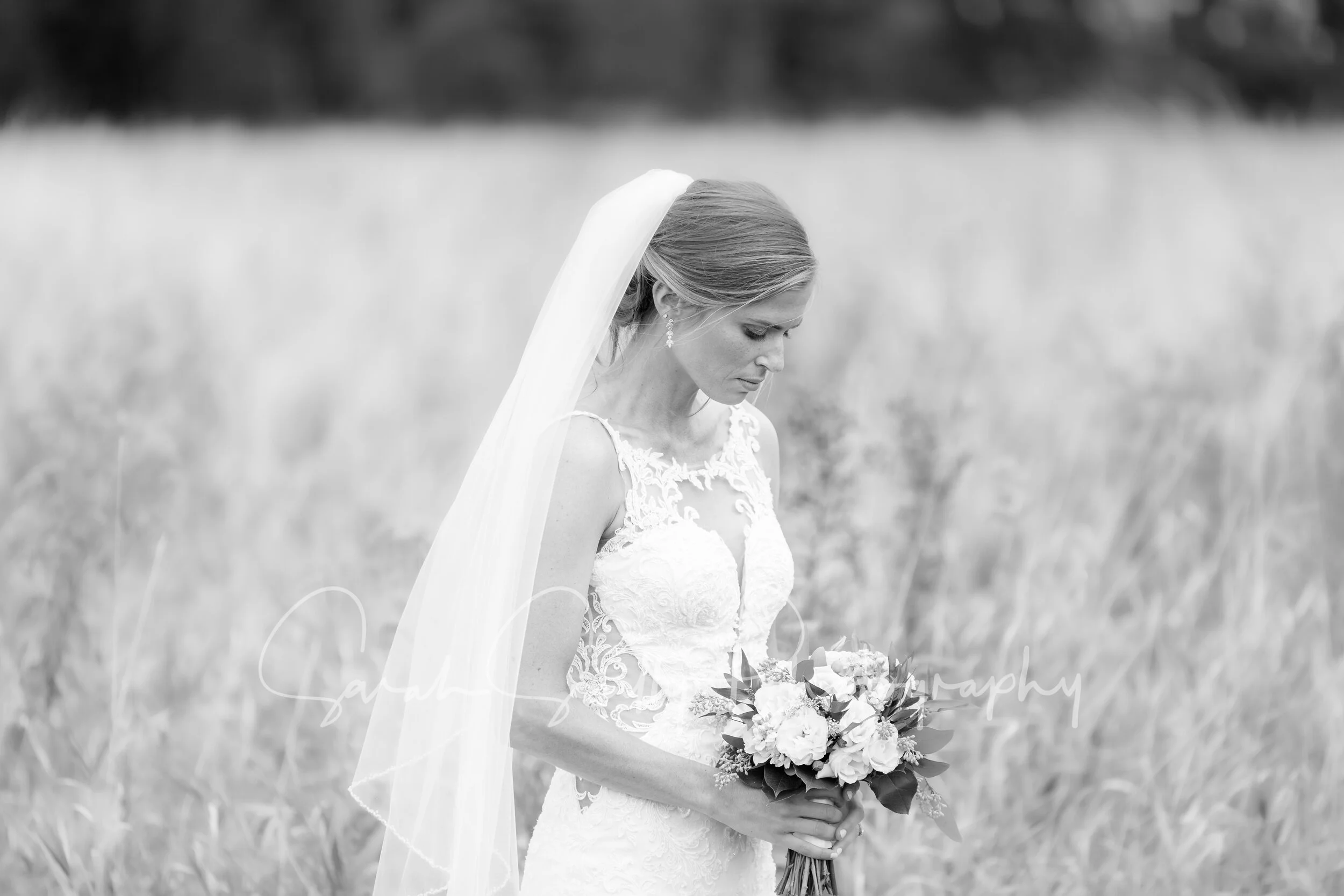 Wedding & Engagement — Sarah Scully Photography