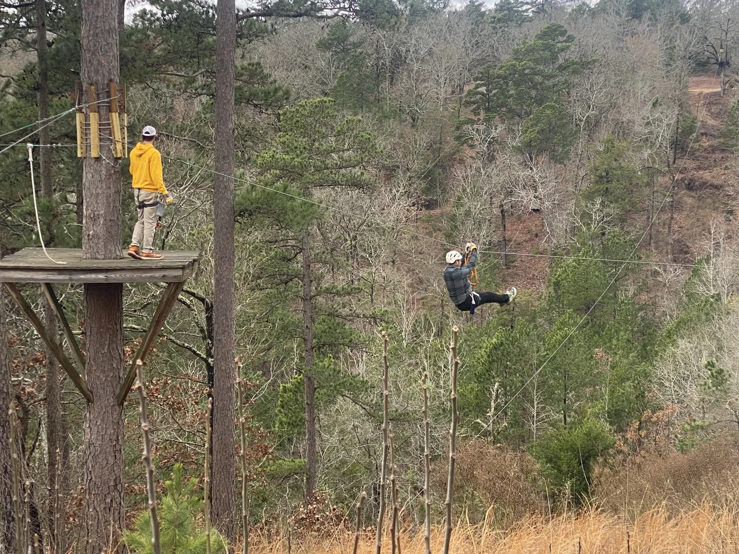 Dallas Ziplining: The Best Outdoor Adventure Near DFW — New York, Texas ...