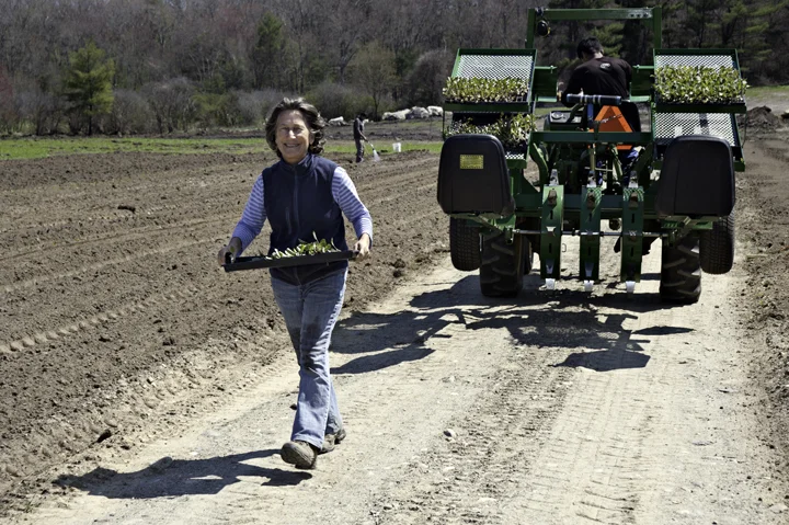The Farm Team — Clark Farm