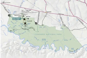 Congaree National Park — The Greatest American Road Trip