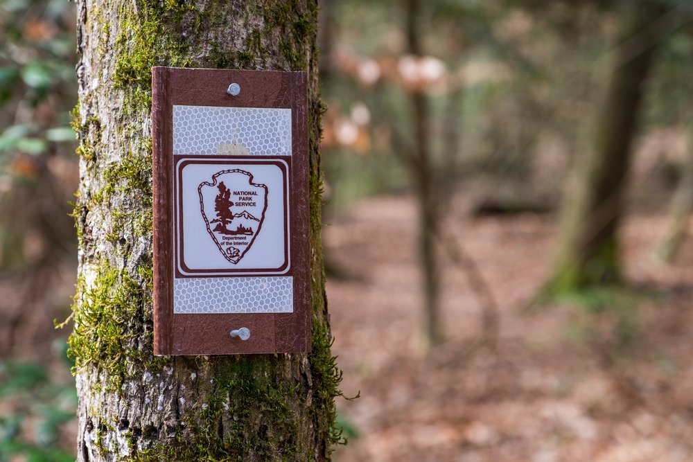 Congaree National Park — The Greatest American Road Trip