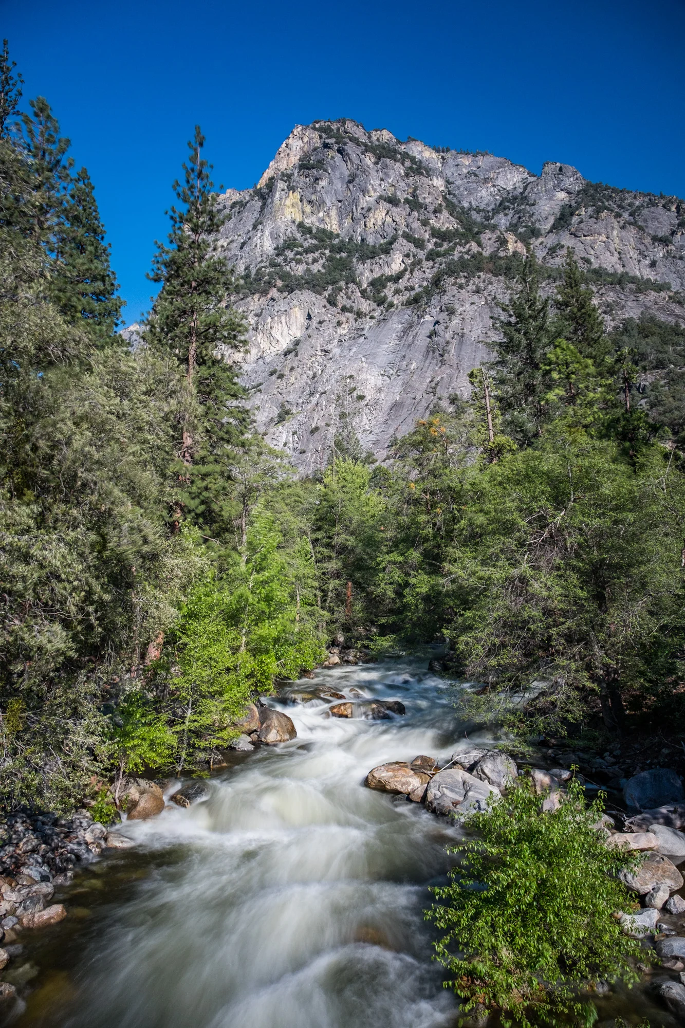 Sequoia and Kings Canyon National Parks — The Greatest American Road Trip