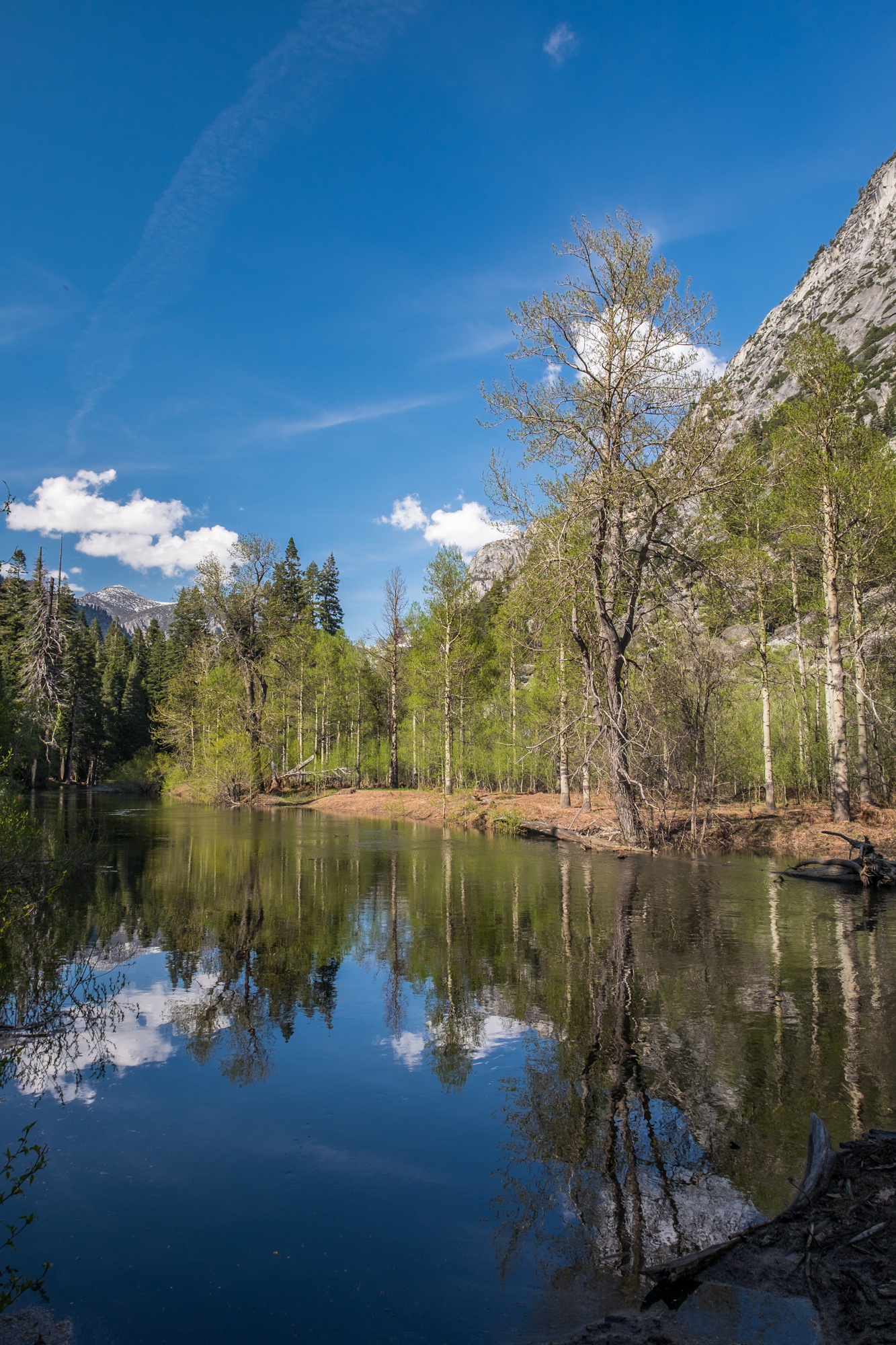 Sequoia and Kings Canyon National Parks — The Greatest American Road Trip