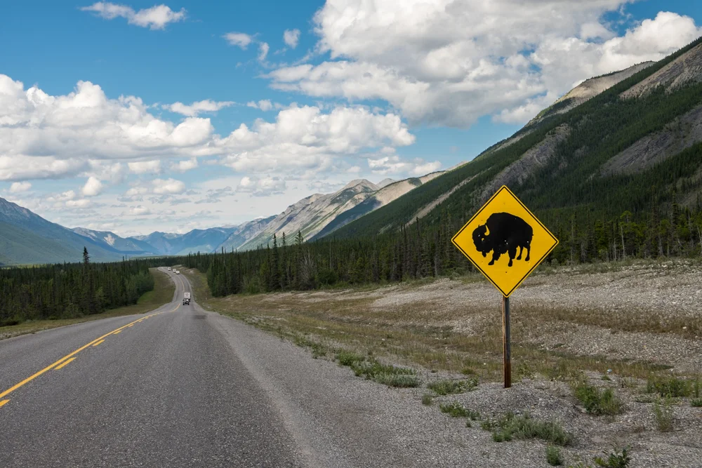 The Alaska Highway — The Greatest American Road Trip