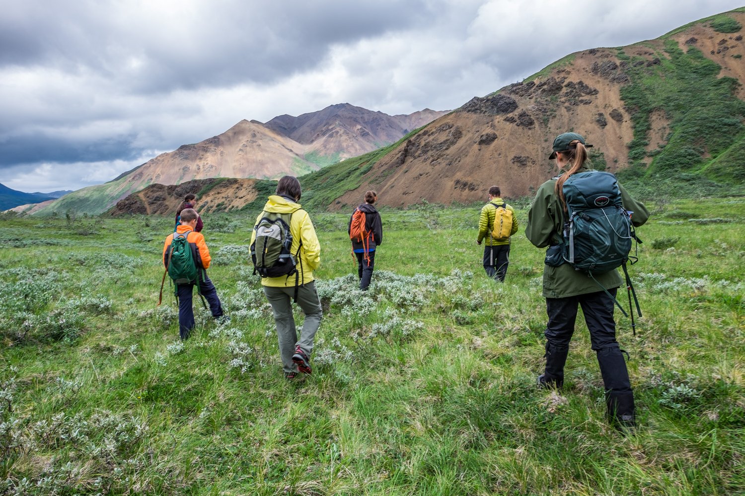 Denali National Park — The Greatest American Road Trip