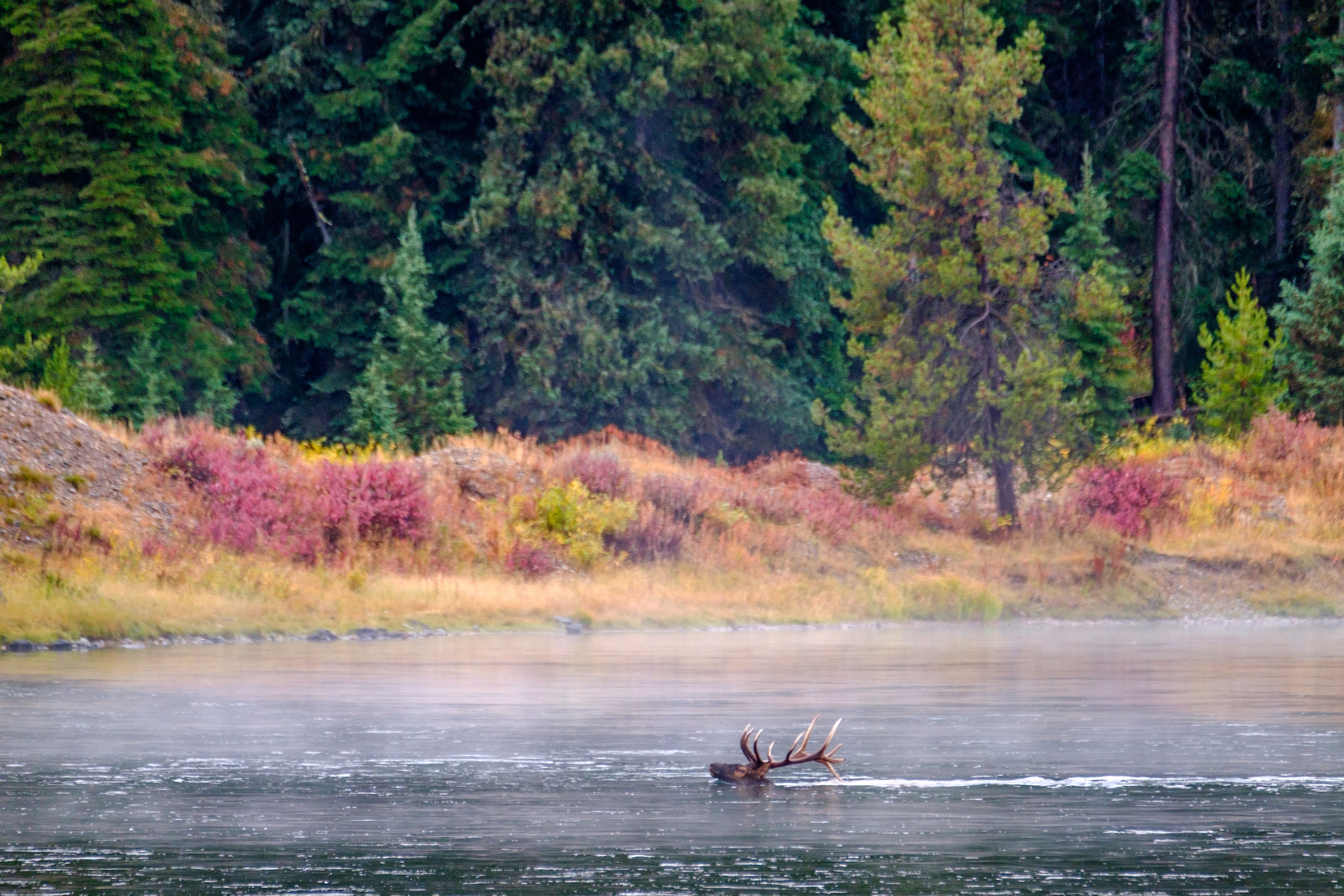 Grand Teton National Park — The Greatest American Road Trip
