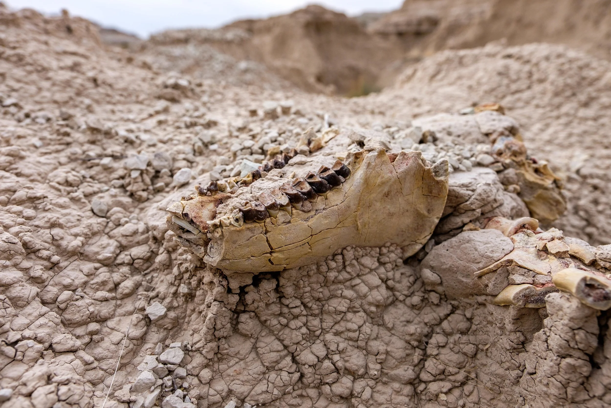 Badlands National Park — The Greatest American Road Trip