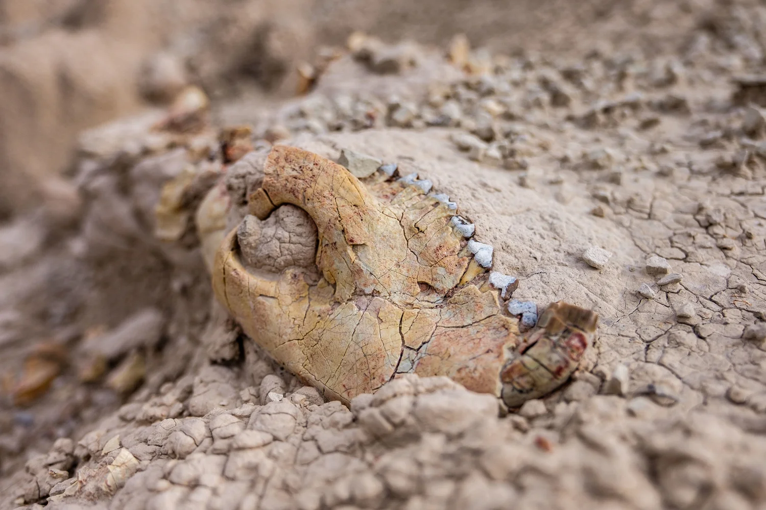 Badlands National Park — The Greatest American Road Trip
