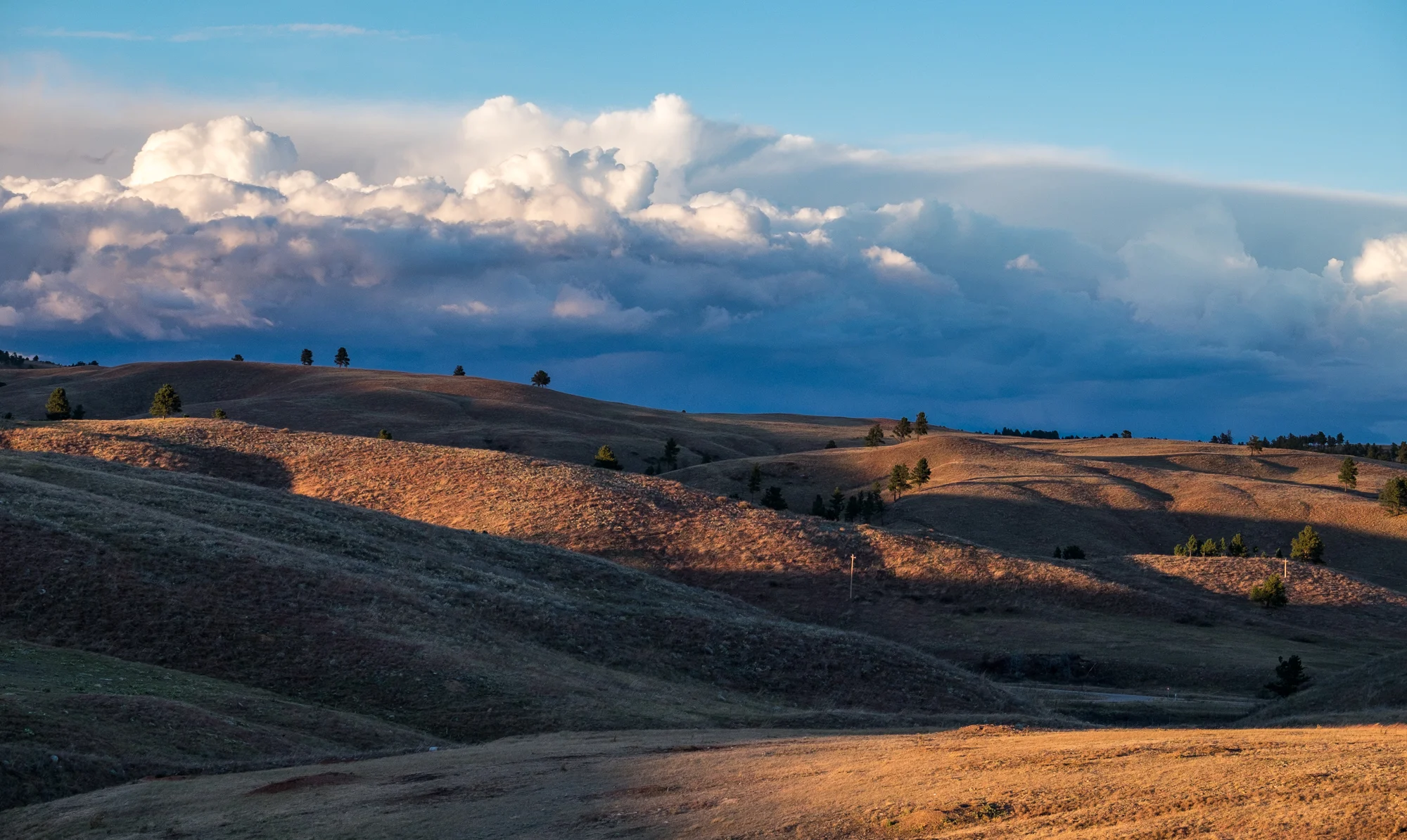 Wind Cave National Park — The Greatest American Road Trip