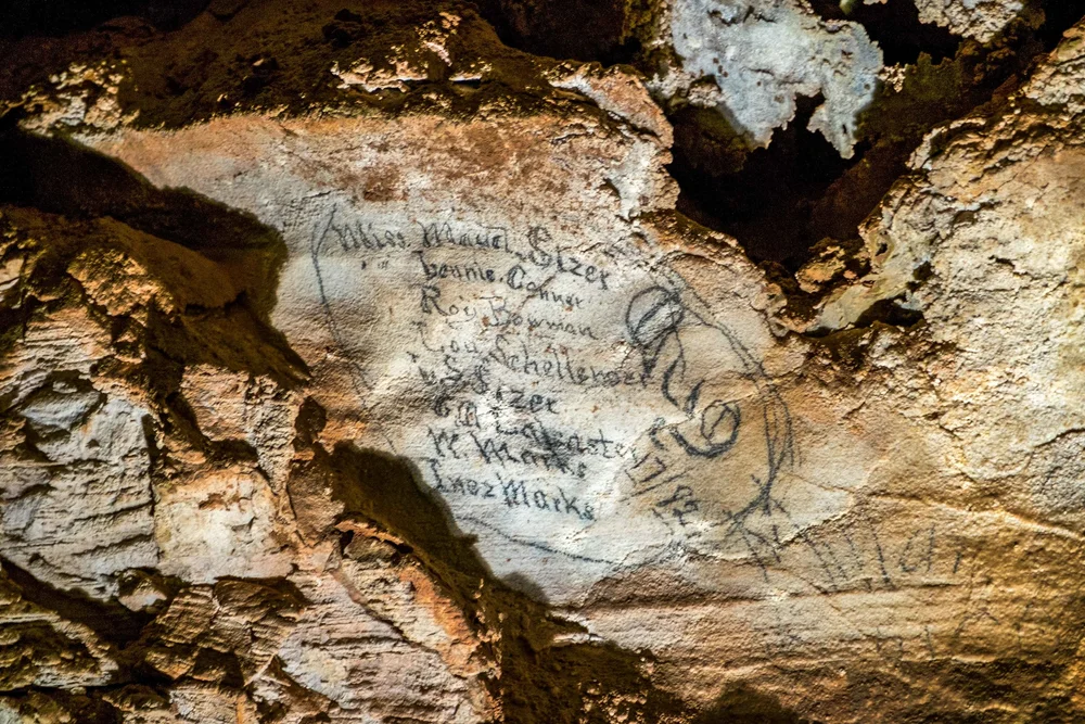 Wind Cave National Park — The Greatest American Road Trip