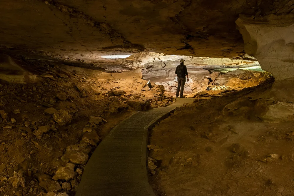 Wind Cave National Park — The Greatest American Road Trip