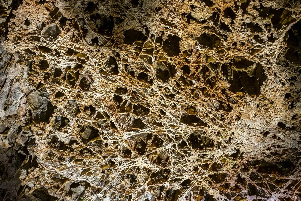 Wind Cave National Park — The Greatest American Road Trip