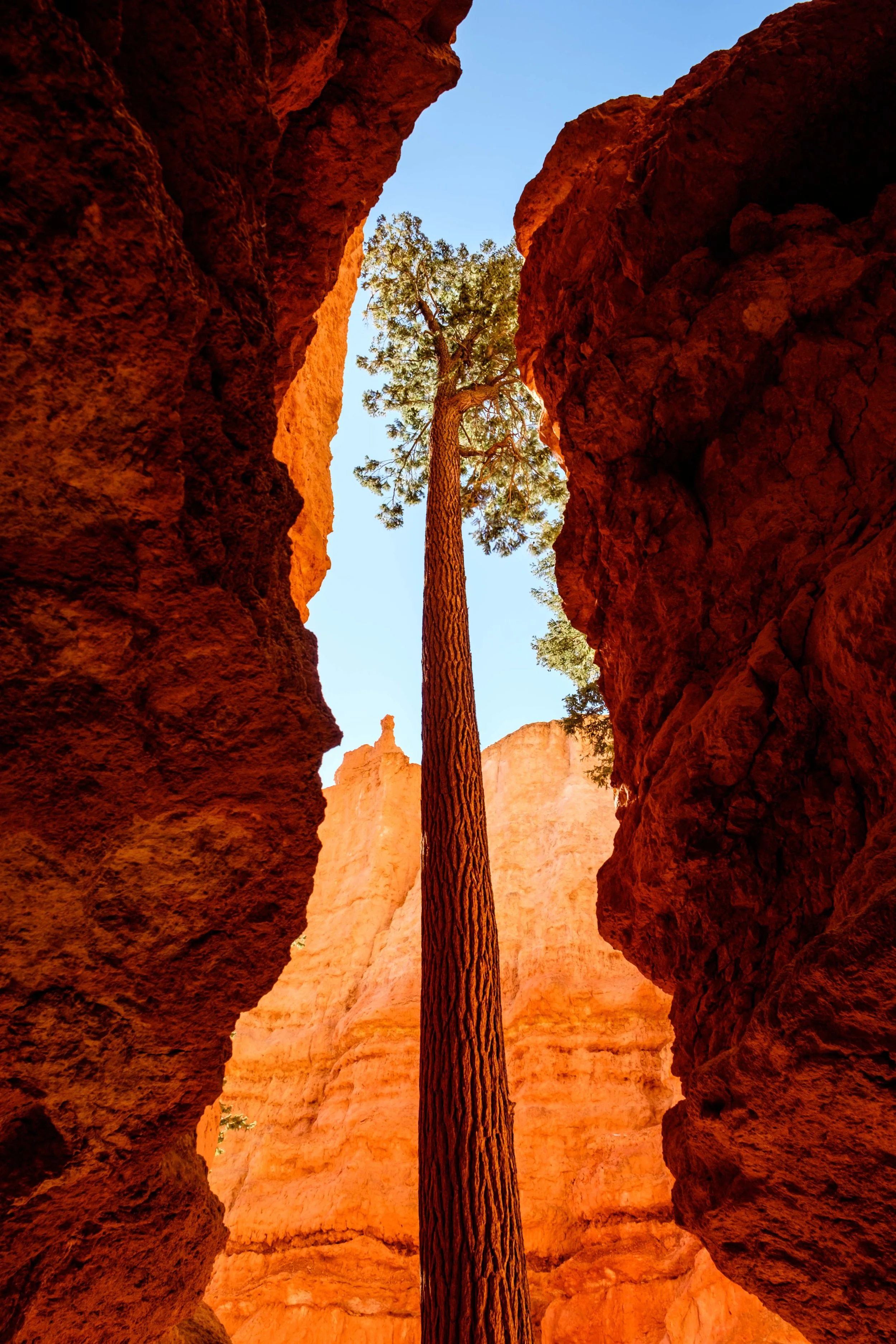 Bryce Canyon National Park — The Greatest American Road Trip
