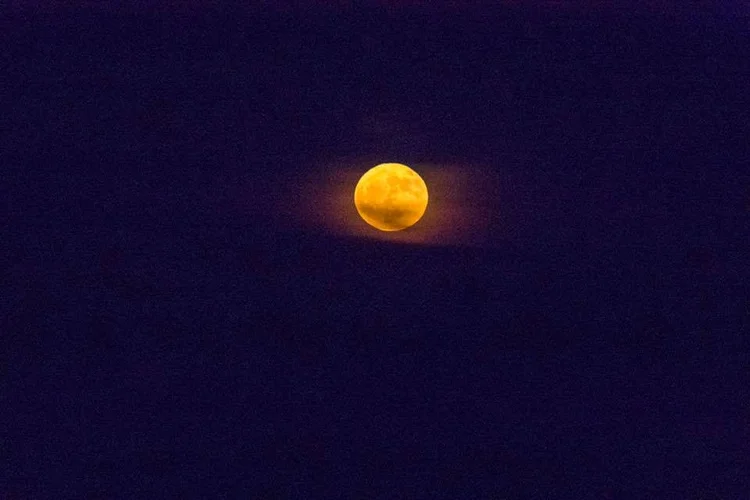 Full Moon Hike — Official Guides of Savannah