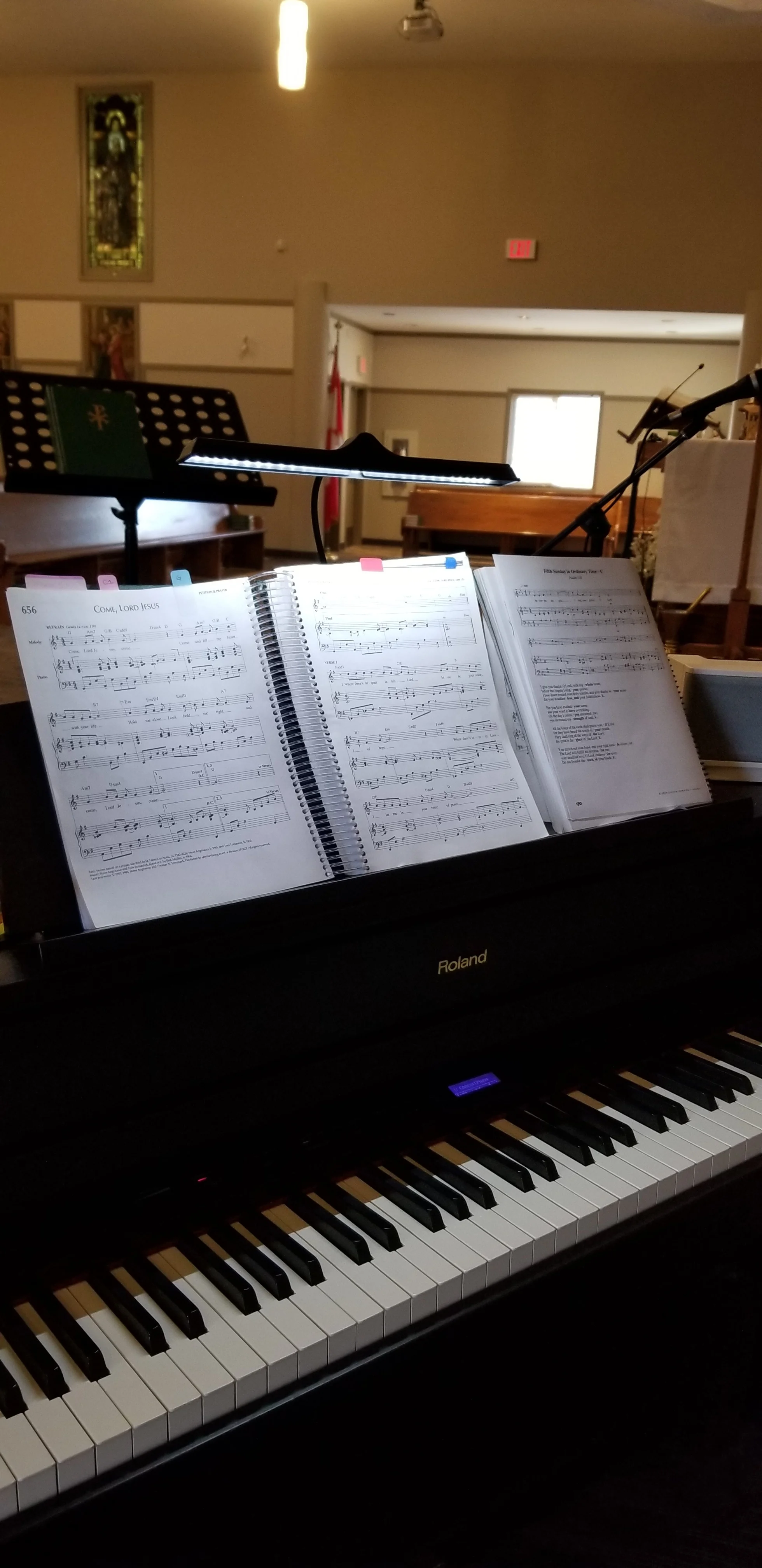 100 Days of Practice Challenge 2019 - Day 30 Check-in — Musespeak