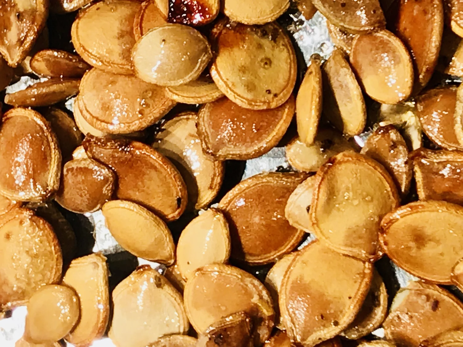 Kuta Squash Seeds