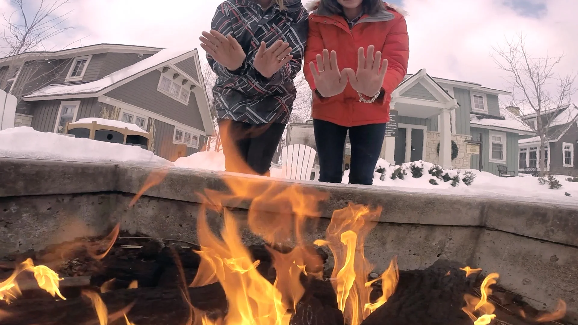 Gallery — Jeni Molitor