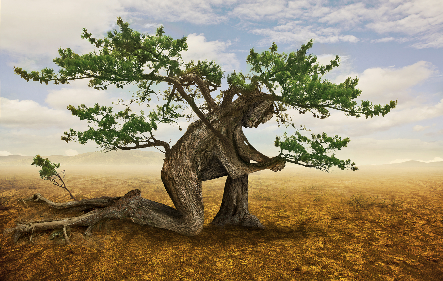 Connecting with Ecological Intelligence | The School of Forest Medicine
