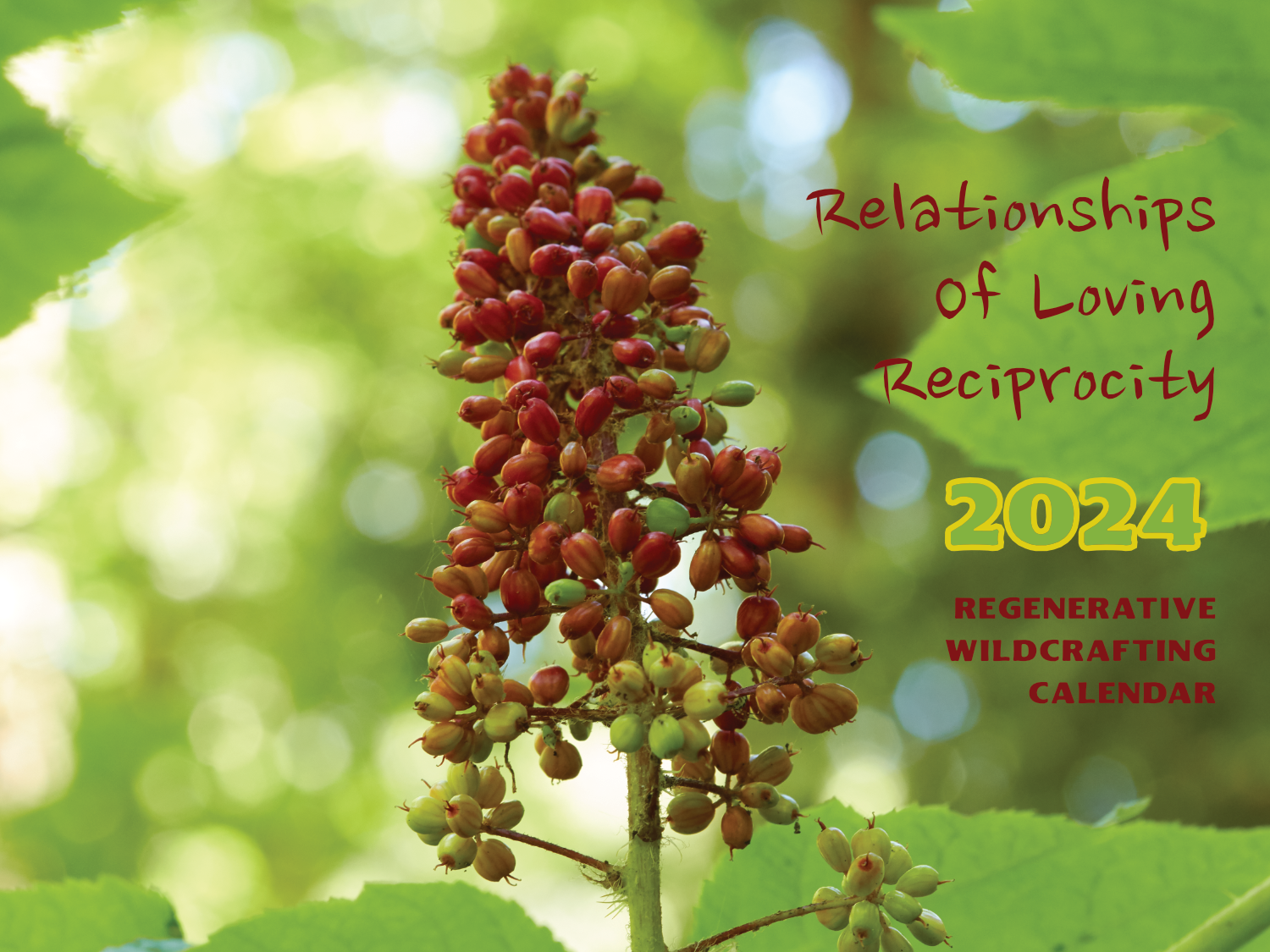 Guides — Store | The School of Forest Medicine