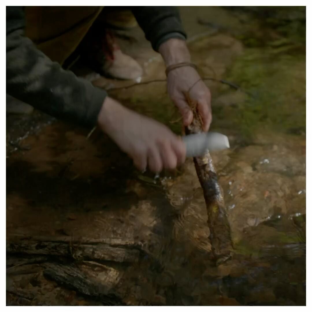The School of Forest Medicine - Embrace Nature's Healing