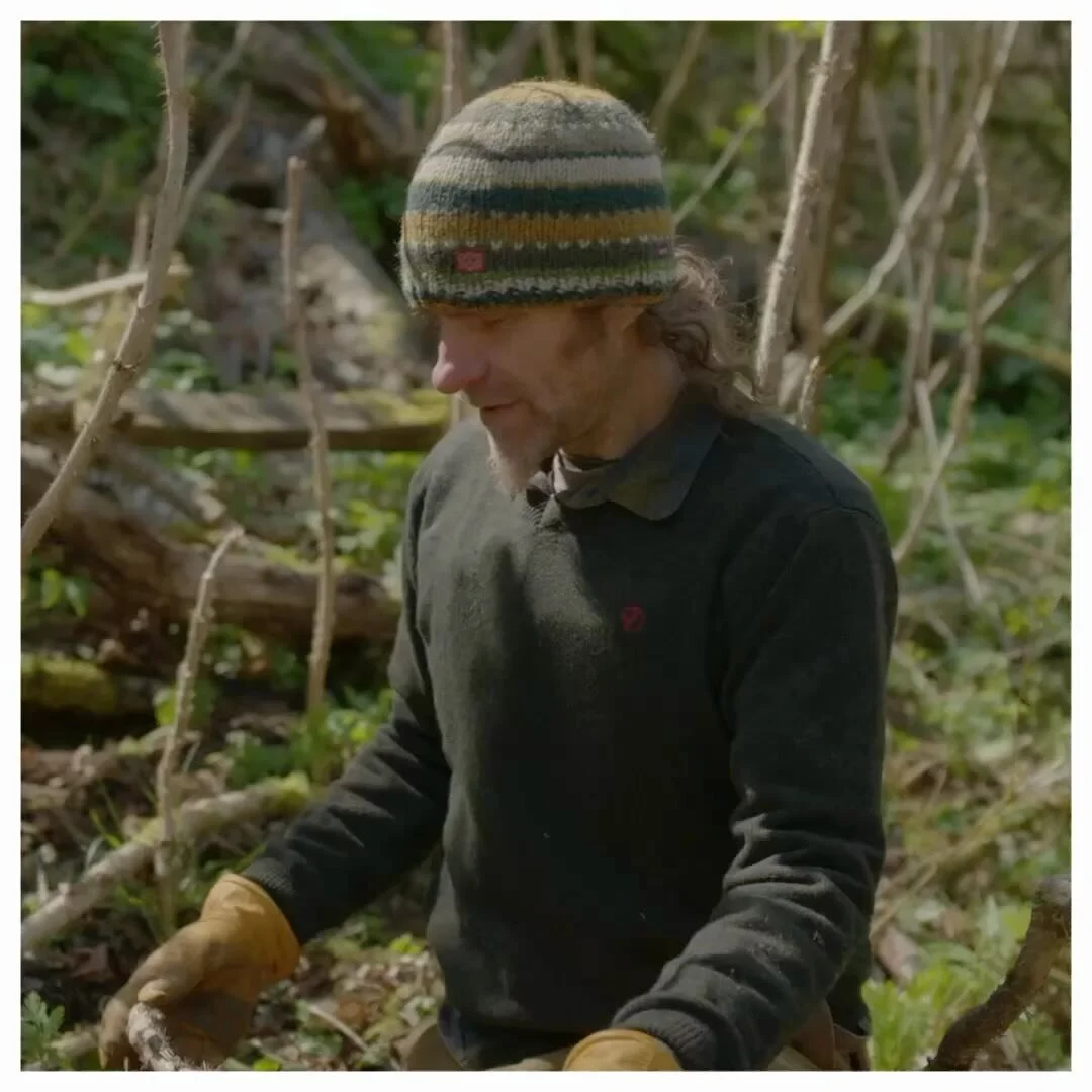 The School of Forest Medicine - Embrace Nature's Healing