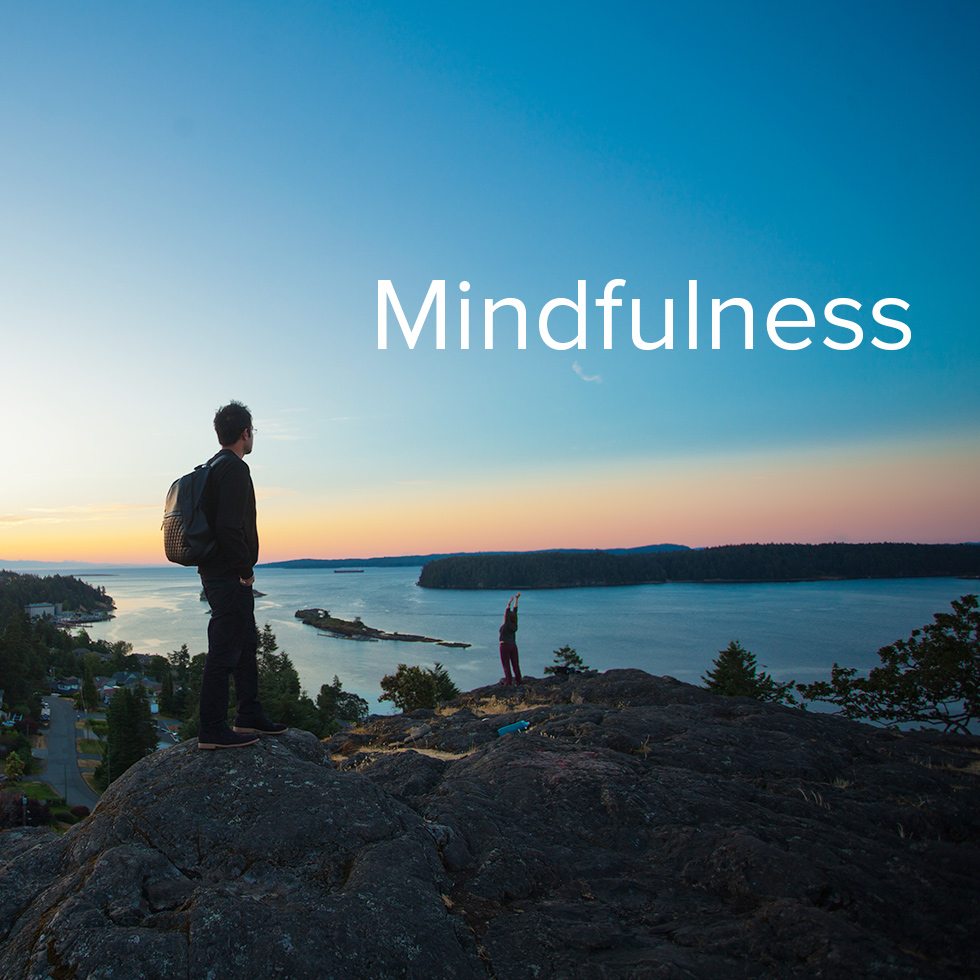 Taking Five: Getting Mindful & New Perspectives — Successful Transitions