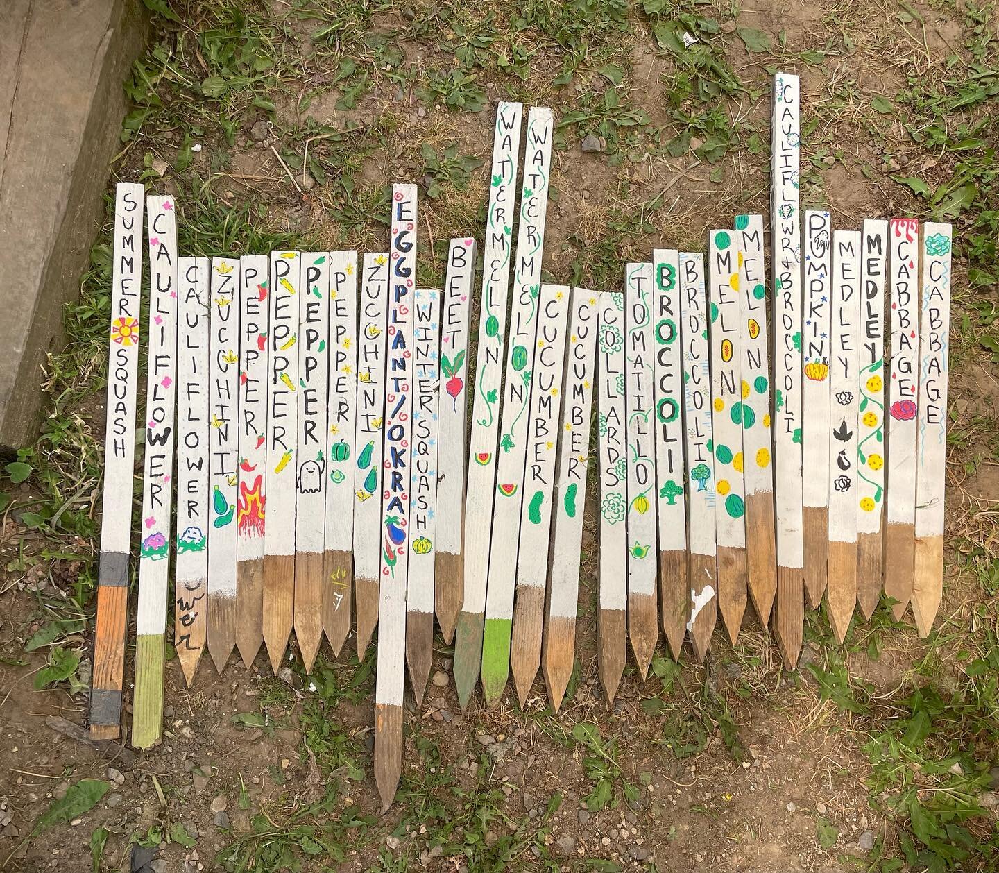 Urban Ventures Farm — Urban Ventures