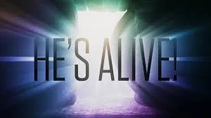 He is Alive ... Forever! And So Am I! — A Branch In the Vine