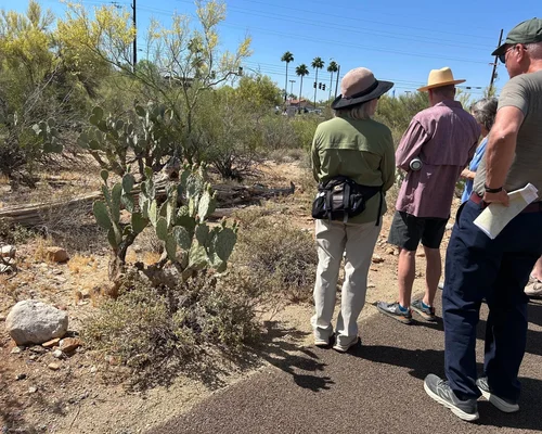 Learning to Love People (maybe Part 1) — A Branch In the Vine