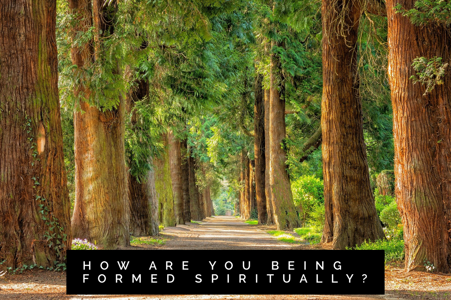 ConnectOnSocial — Walking In Grace, Inc.