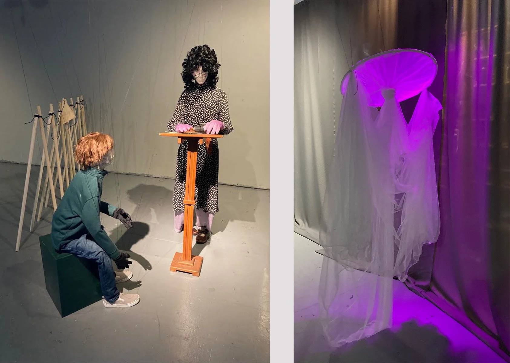 WHY?? — Hanne Tierney