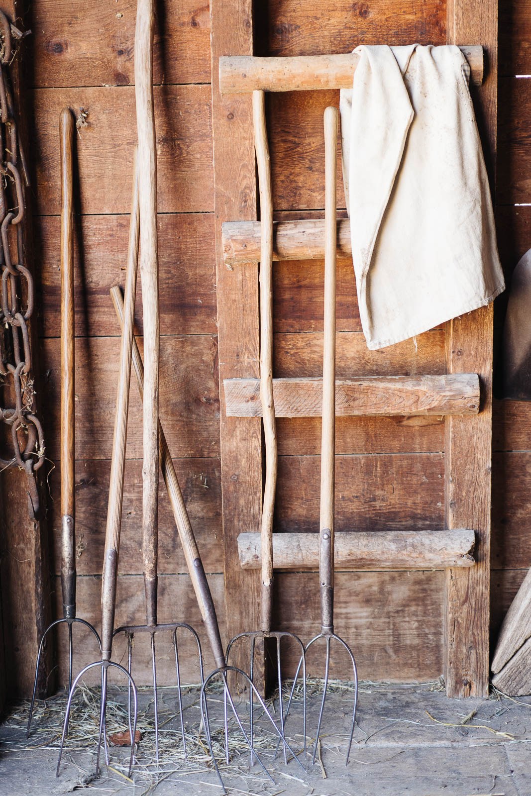 Oliver Kelley Farm // Minnesota Historical Society — Team Bravo Photography