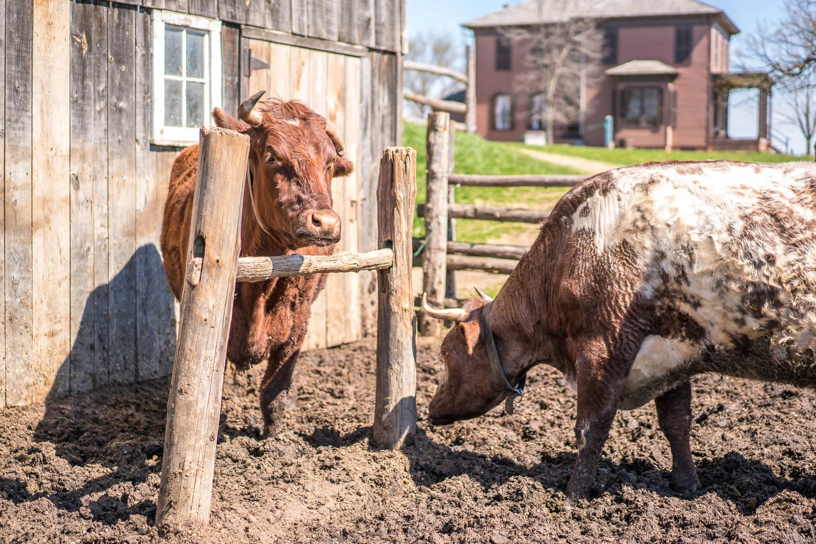 Oliver Kelley Farm // Minnesota Historical Society — Team Bravo Photography