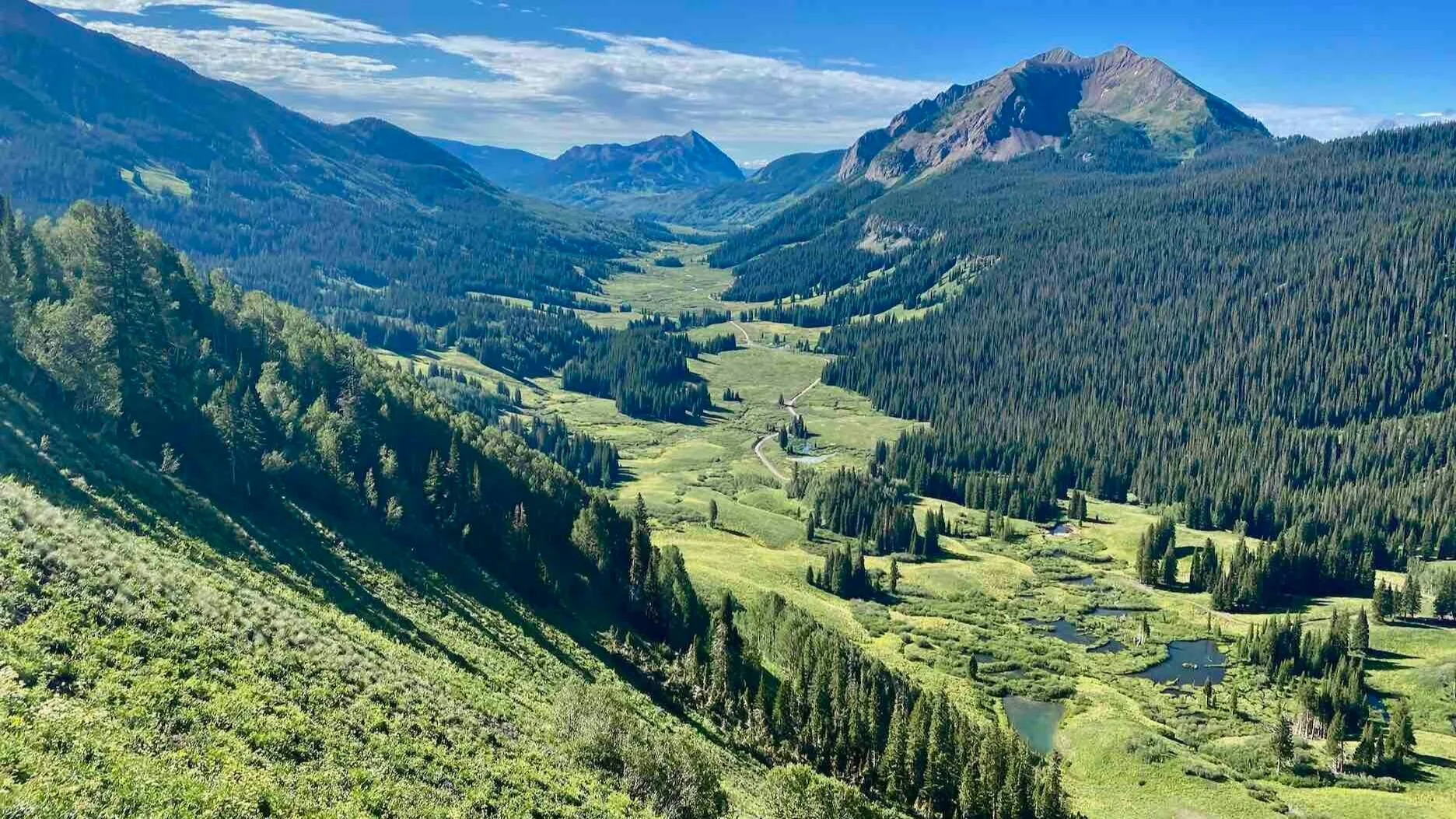 Acknowledgements — Montanya Distillers