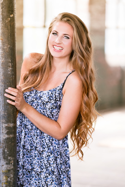 Taylors Mill — Taylors, SC Textile Mill Revitalization Project